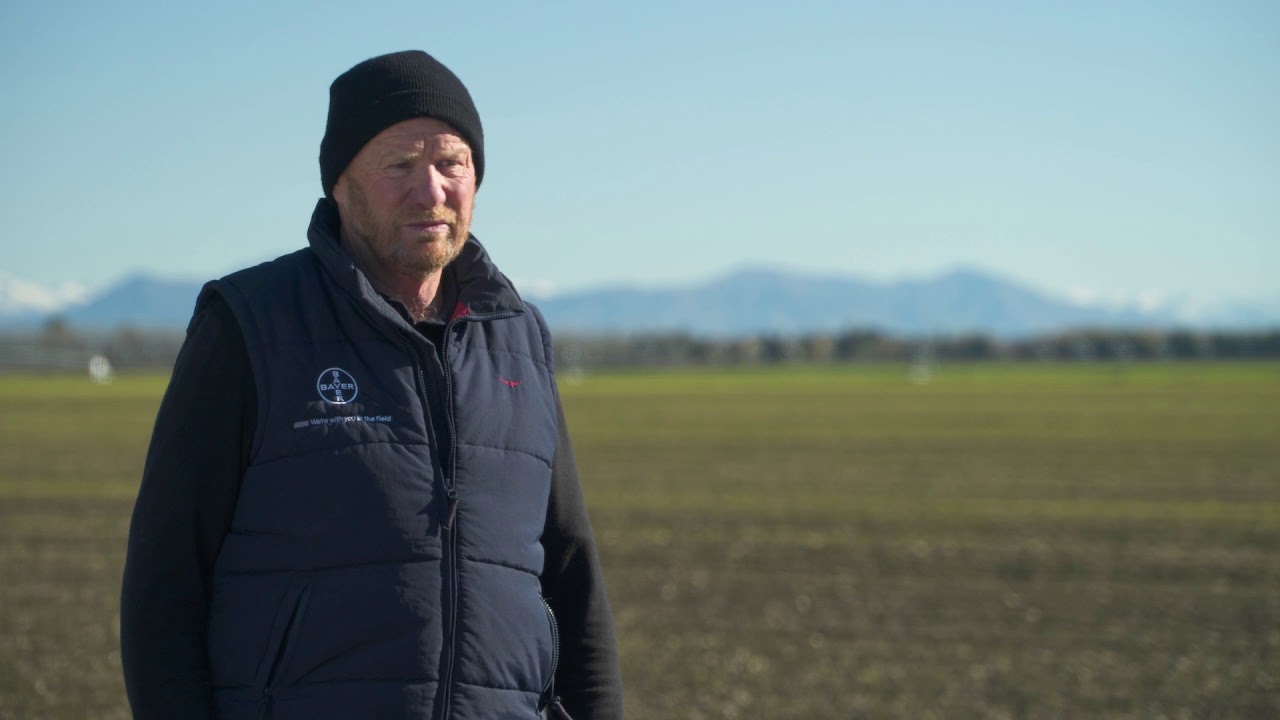 GUINNESS WORLD RECORDS™ title: Highest Wheat Yield | Sustainable inputs