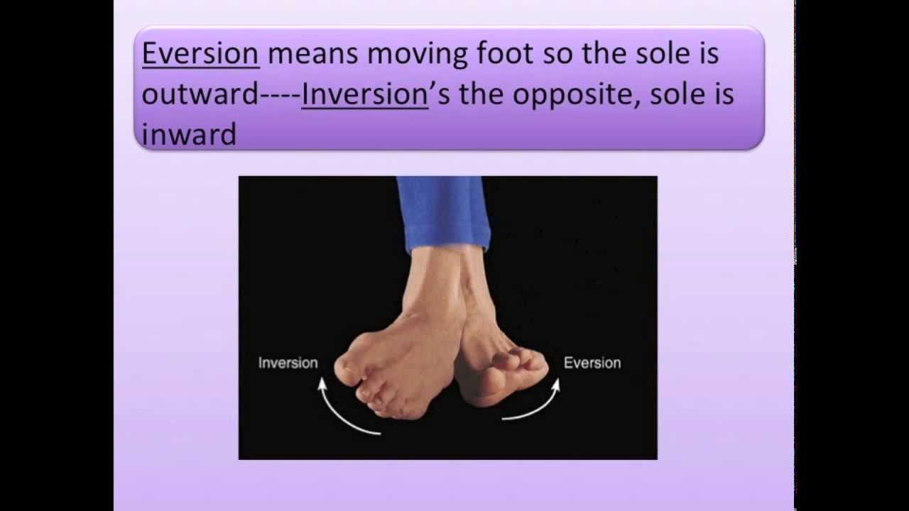 Joint Movements Song