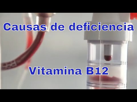 5 Causes of Vitamin B12 Deficiency