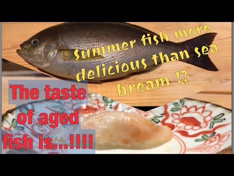 Isaki(つゆイサキ)amazing summer fish #how to fillet #sushi#introducing Japanese ingredients