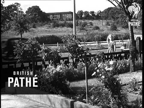 What Happens Next #7 (1950-1959)