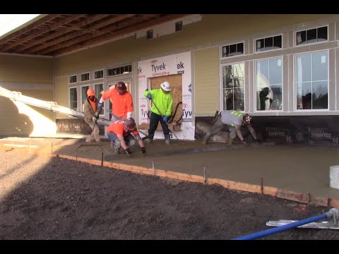 Stamped Concrete / Roman Slate Seamless