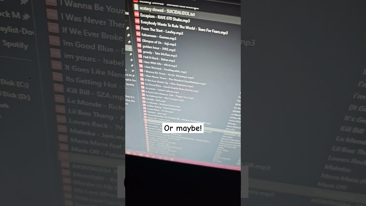 Spotify downloader stops working or maybe... #musicplaylist #coding #mycode #python #gaming #scrape