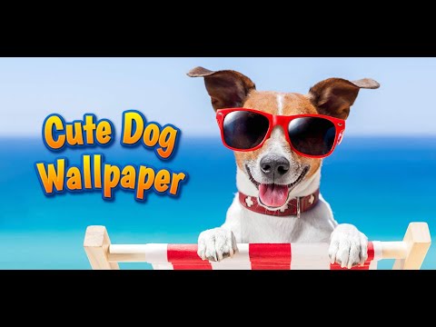 cute dog wallpaper