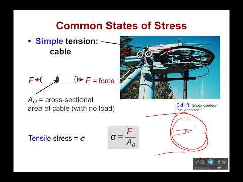 Types of Stress