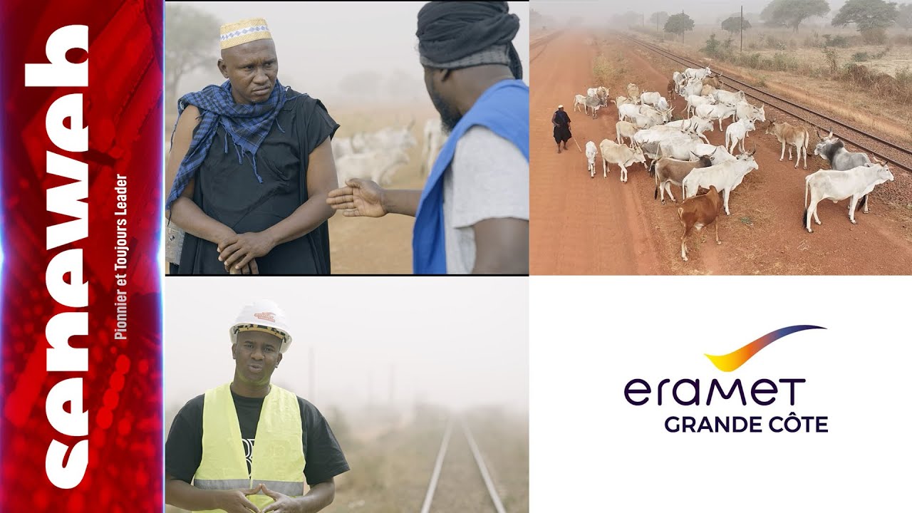 Seneweb - Actualités du Sénégal et Africaine en continu