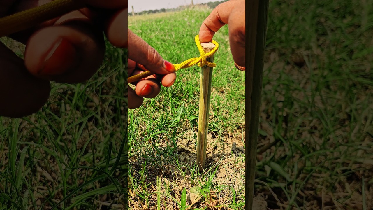 Strong Anchor Knot for Survival & Camping 💯💡 #shorts #experiment #learning #handmade #usa