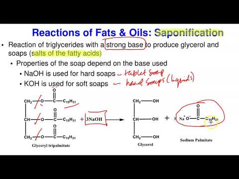 Simple Lipids
