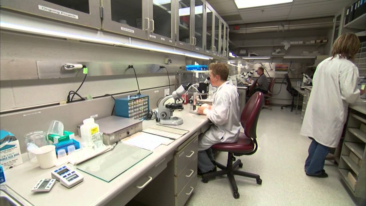 Mayo Clinic Cancer Center Microscopy and Cell Analysis Core: A Virtual Tour