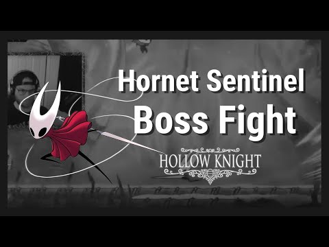 Steam Community :: Video :: Hollow Knight – Hornet Sentinel Boss Fight ...