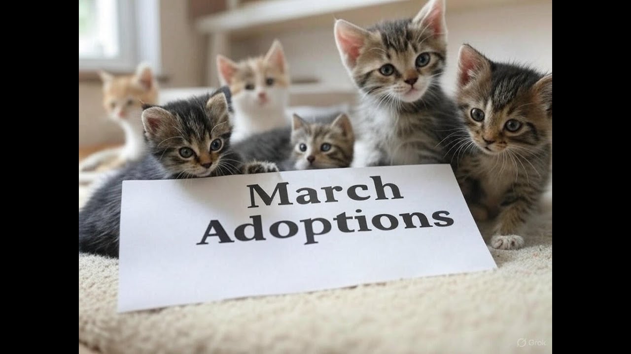 March 2025 Adoptions