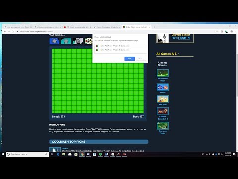 Snake World Record | Cool Math Games | Perfect Game (973 length) (144hz) | Raw Footage
