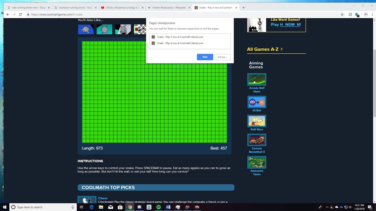 Snake World Record | Cool Math Games | Perfect Game (973 length) (144hz) | Raw Footage