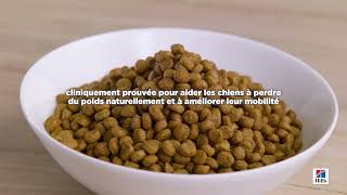 Hill's Prescription Diet Metabolic + Mobility j/d Mini 6 kg | MAXI ZOO