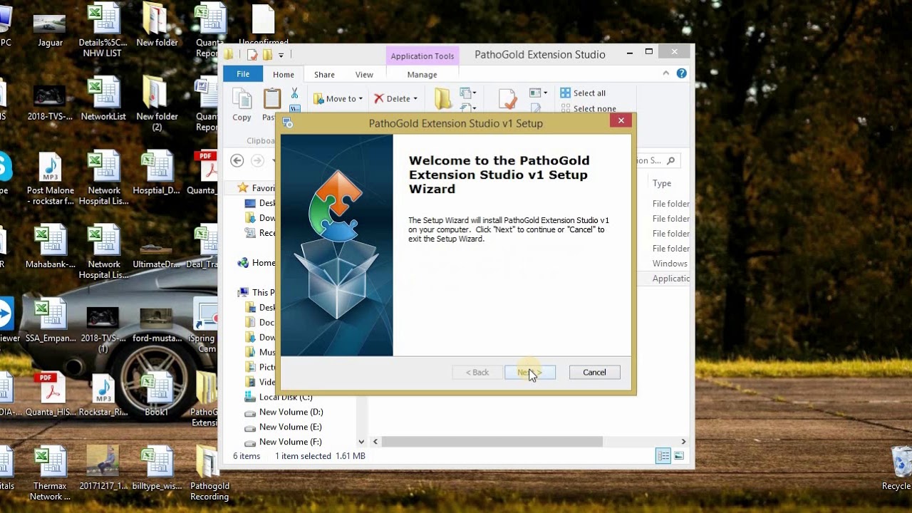 Pathogold Software Installation