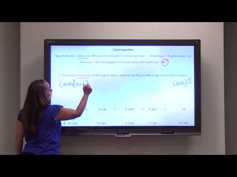 Polygenetic Inheritance Part 3