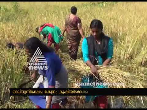 Success story in Fallow land farming by natives from Kothamangalam