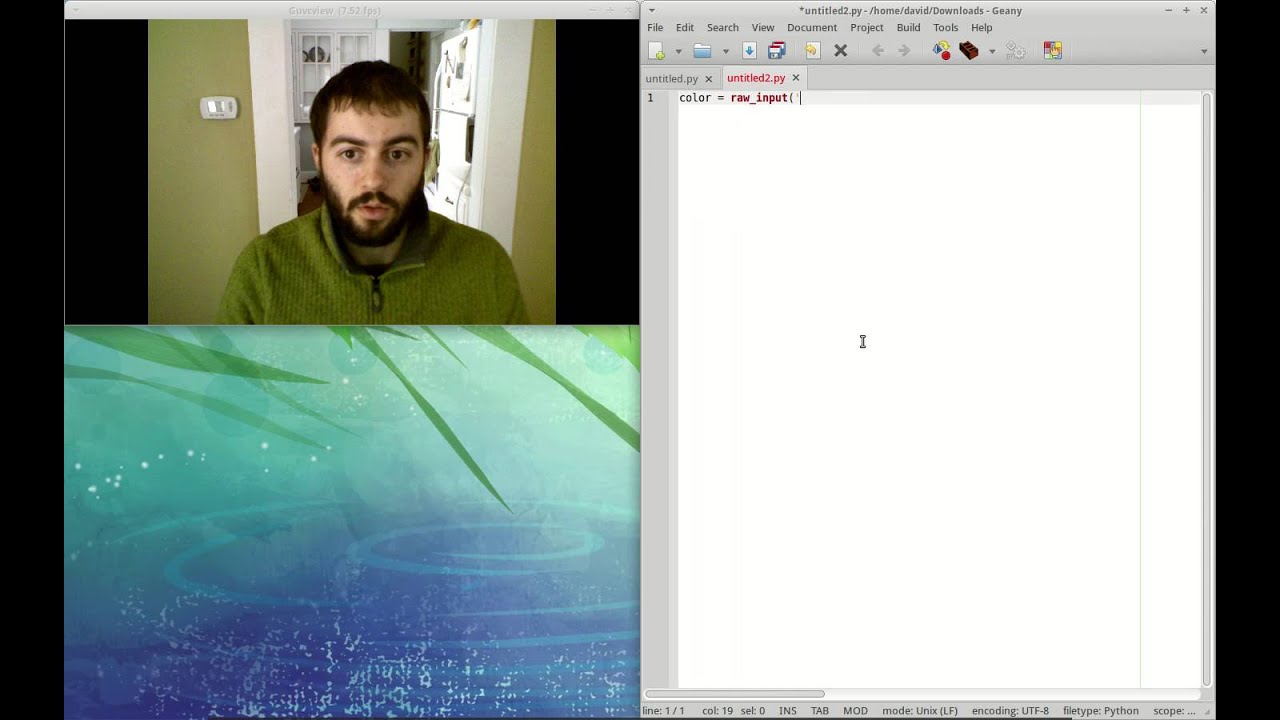 How to Use Python's raw_input Function