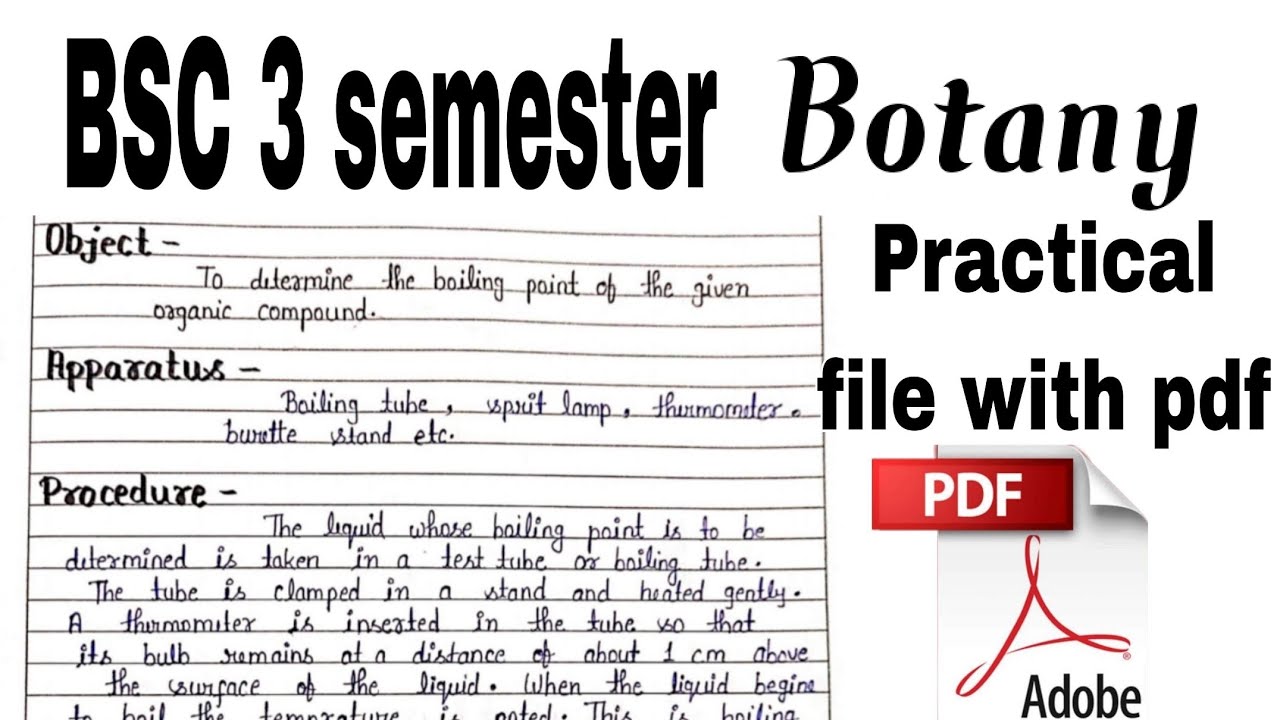 BSC 3 Semester Botany Practical file with pdf download