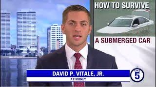 David P. Vitale, Jr. - Searcy Law
