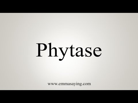 How To Say Phytase