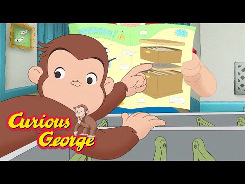 George Builds a Beehive 🍯 🐝 Curious George 🐵 Kids Cartoon 🐵 Kids Movies