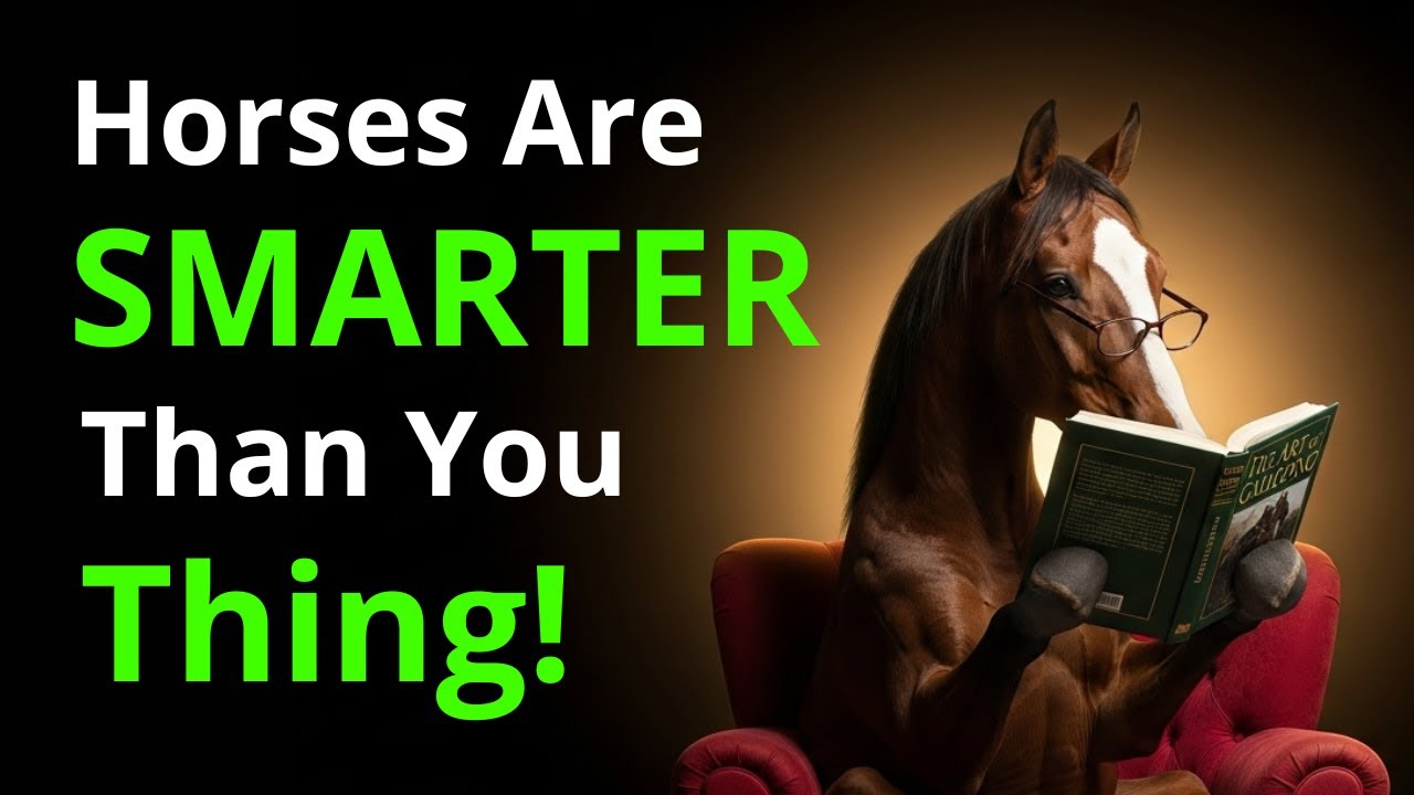 Horse INTELLIGENCE: Surprising FACTS About EQUINE SMARTS
