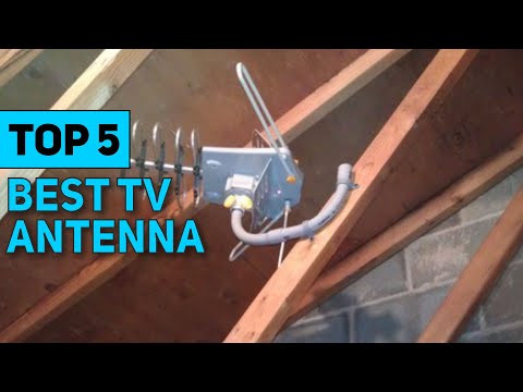 5 Best Tv Antenna in 2023