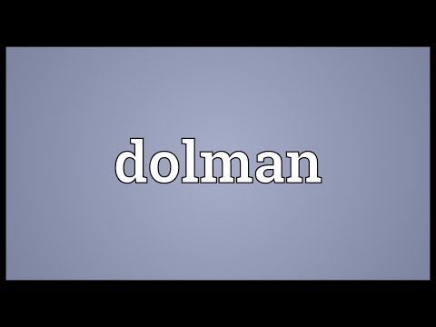 Dolman Meaning