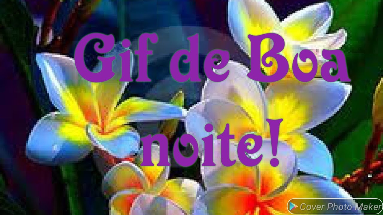 Gif Mensagem de Boa Noitel 🎄2019 🎄