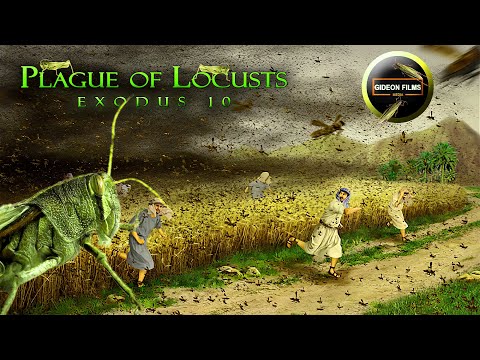 Moses: Plague of Locusts | Exodus 10 | Plague of Darkness | Aaron | Pharaoh | Ten Plagues in Egypt