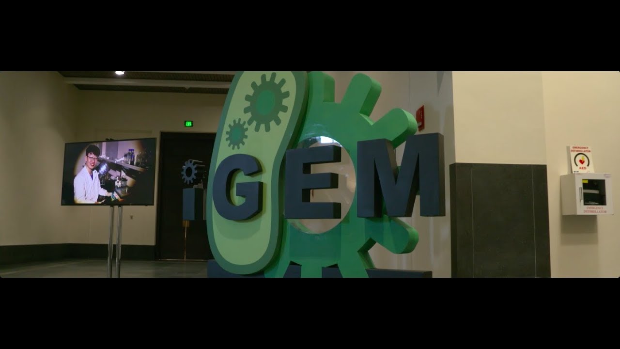 iGEM 2017 Giant Jamboree Wrap Video