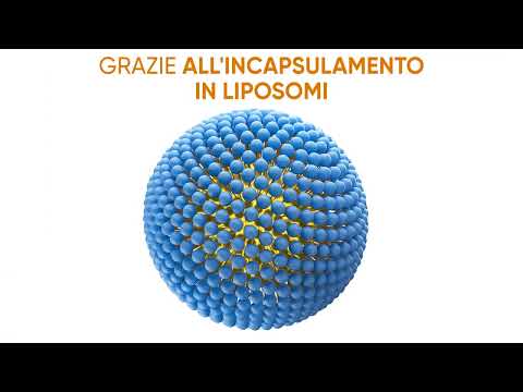 Vitamina C Liposomiale: Le Migliori Compresse | WeightWorld Italia