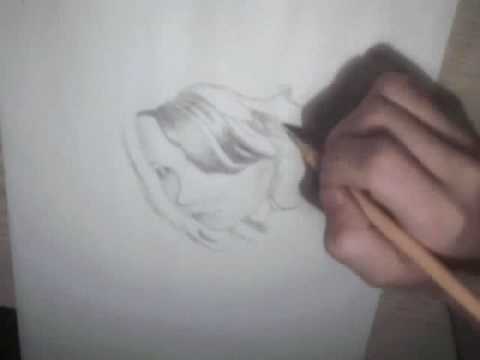 Tawny Gabrielle [Speed Drawing]
