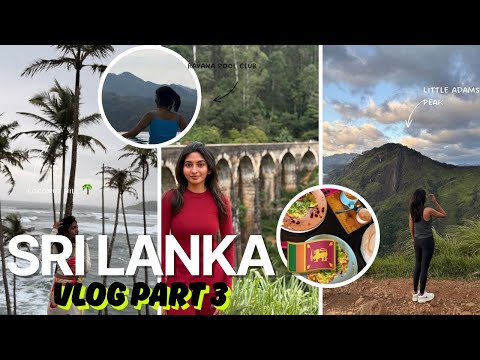 Sri Lanka Vlog part3 🇱🇰Ella-Mirissa-Colombo | தமிழ் Travel Vlog | poolclub, Sunrise Trek & More!