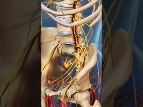 Cauda Equina Syndrome: Symptoms You Should Never Ignore