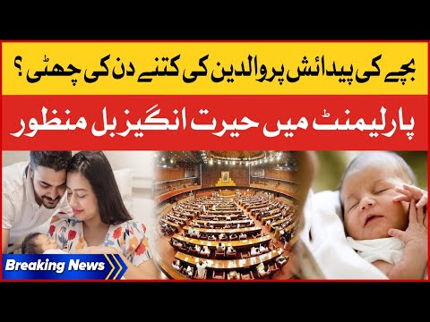 National Assembly Passed Maternity and Paternity Leave Bill | Breaking News