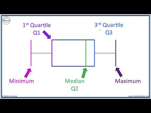 How to Interpret Box Plots