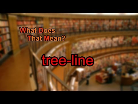 What does tree-line mean?