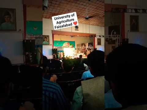 University of Agriculture Faisalabad - qawali concert #uaf #universityofagriculturefaisalabad