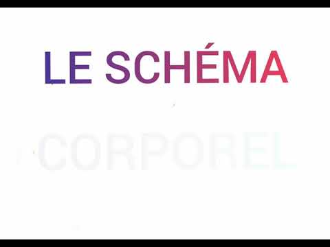 Le schéma corporel.