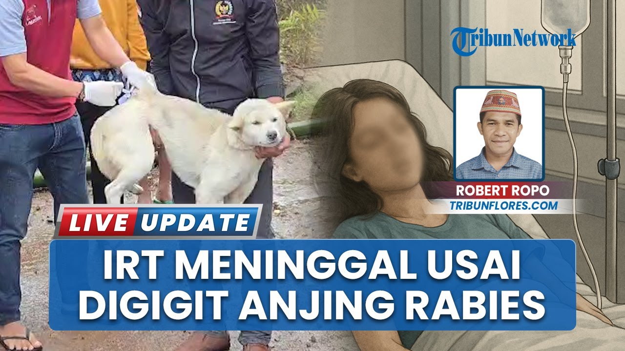 Digigit oleh Anjing Rabies, Seorang Ibu Rumah Tangga di Manggarai ...