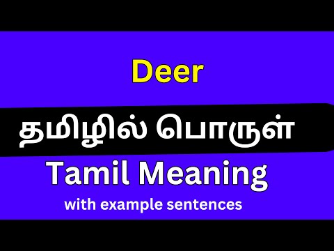 Deer meaning in Tamil/Deer தமிழில் பொருள்
