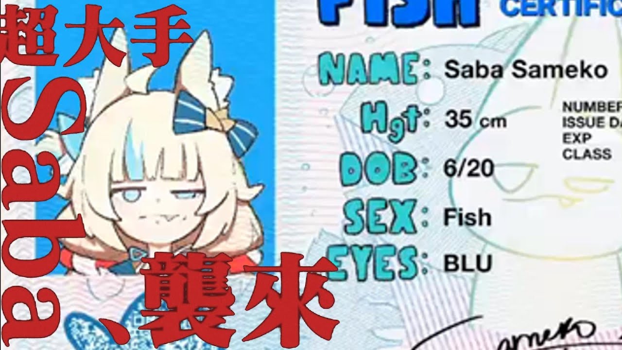 初配信同接20萬人超大手新人「鯊魚子Saba」（SamekoSaba）向你襲來 [SamekoSaba 中文精華] | Hololive烤肉架協會