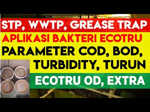 How to Activate ECOTRU™ Bacteria | Solusi Pengolahan Limbah Cair | WWTP, STP, GREASE TRAP, IPAL, dll