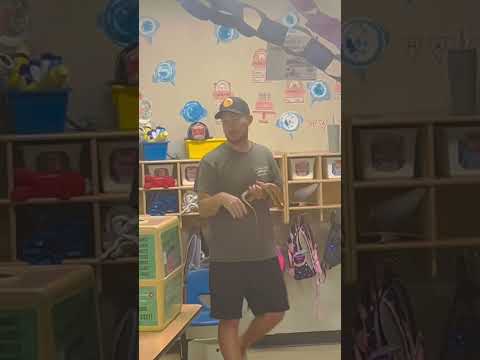Snake, cute one, found in a daycare🐍🐍