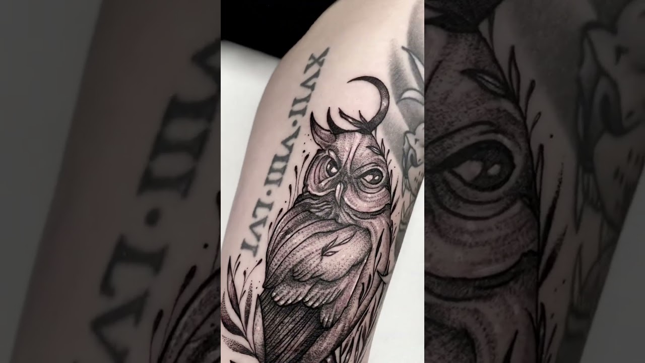 Gap filling owl!#tattoo #tattoos #owl #owls #owltattoo #artist #art #youtubeshorts #youtuber #nature