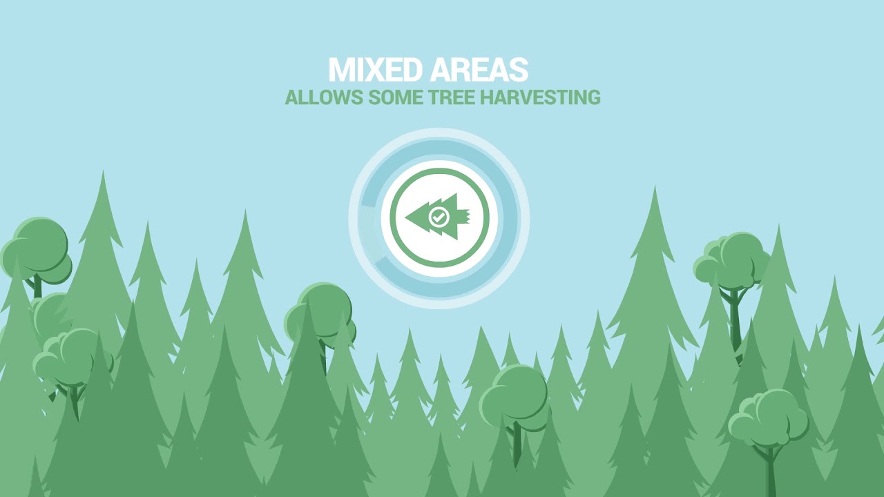 Understanding Ecological Forestry