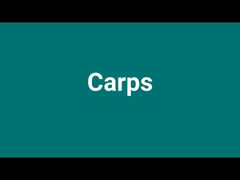 'Carps' Meaning and Pronunciation