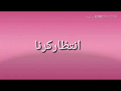 Wait meaning urdu | synonyms